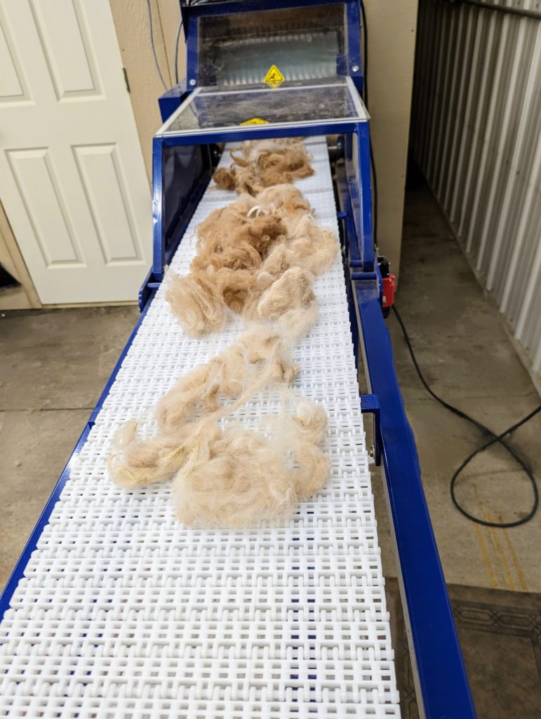 Stages of Processing – Twisted Sunset Sisters